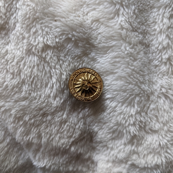 Vintage | Accessories | Vintage Cub Scout National Summertime Award Pin ...